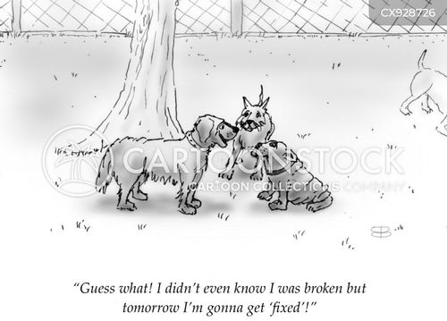 Fixed Dogs Cartoons and Comics - funny pictures from CartoonStock