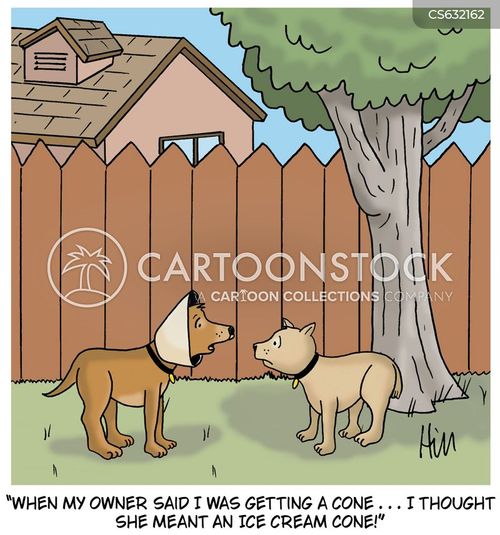 Dog Cone Cartoons and Comics - funny pictures from CartoonStock