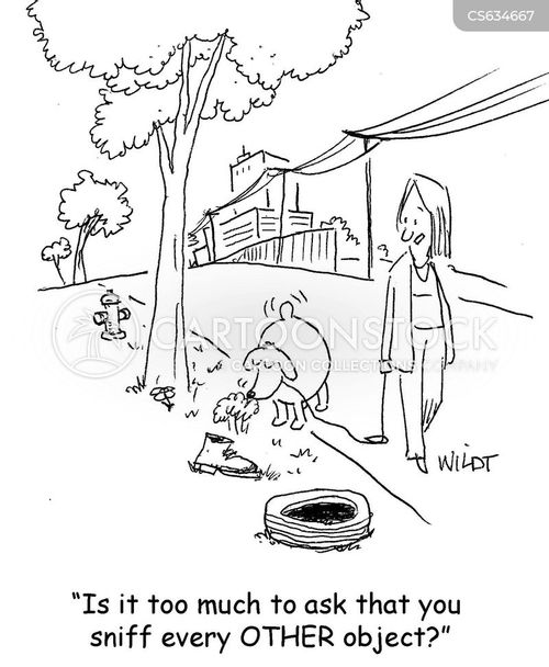 Canine Curiosity Cartoons and Comics - funny pictures from CartoonStock