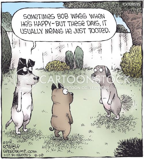 Tail Wagging Meaning Cartoons and Comics - funny pictures from CartoonStock