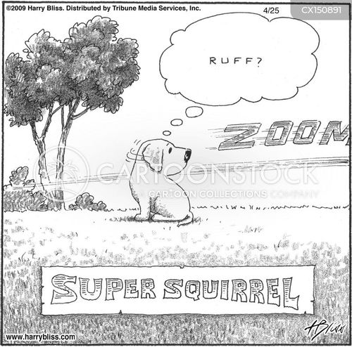 Squirrel Cartoons and Comics - funny pictures from CartoonStock