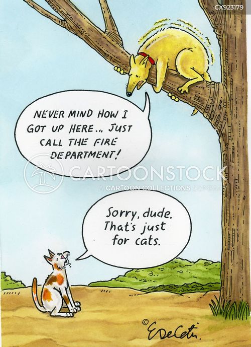 Animal Help Cartoons and Comics - funny pictures from CartoonStock