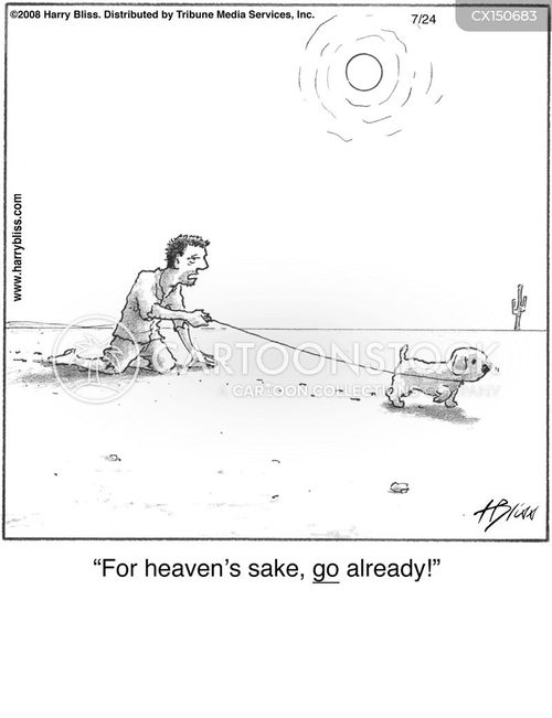 Pet Patience Cartoons and Comics - funny pictures from CartoonStock