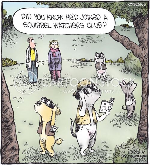 Squirrel Watching Cartoons and Comics - funny pictures from CartoonStock