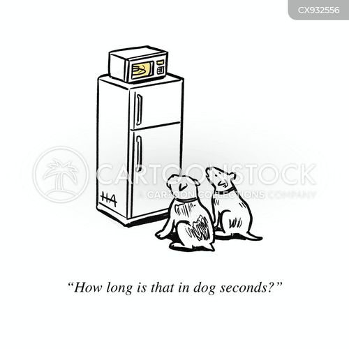 Pet Perception Cartoons and Comics - funny pictures from CartoonStock