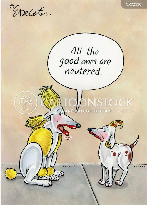 Dog Park Conversation Cartoons and Comics - funny pictures from ...