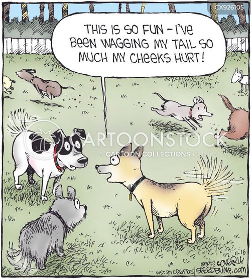 Joy Of Pets Cartoons and Comics - funny pictures from CartoonStock