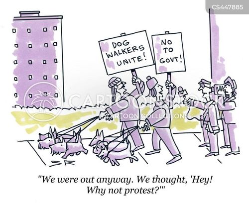 Kill Two Birds With One Stone Cartoons and Comics - funny pictures from ...