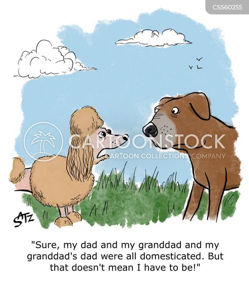 Domesticate Cartoons and Comics - funny pictures from CartoonStock