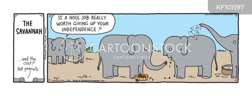 Zucchini Nose Cartoons and Comics - funny pictures from CartoonStock