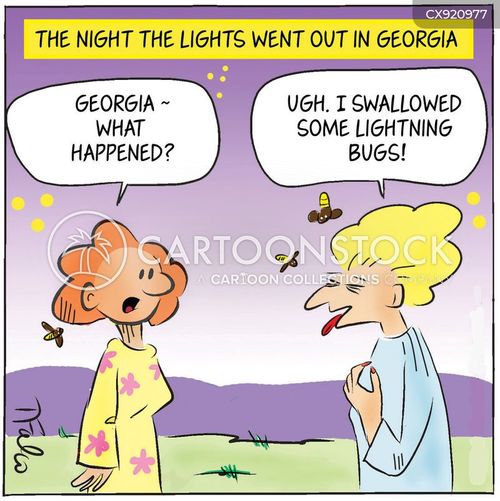 Lightning Bugs Cartoons and Comics - funny pictures from CartoonStock