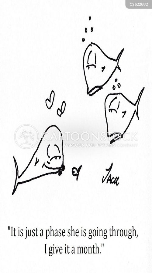 Phases Of Relationships Cartoons and Comics - funny pictures from ...