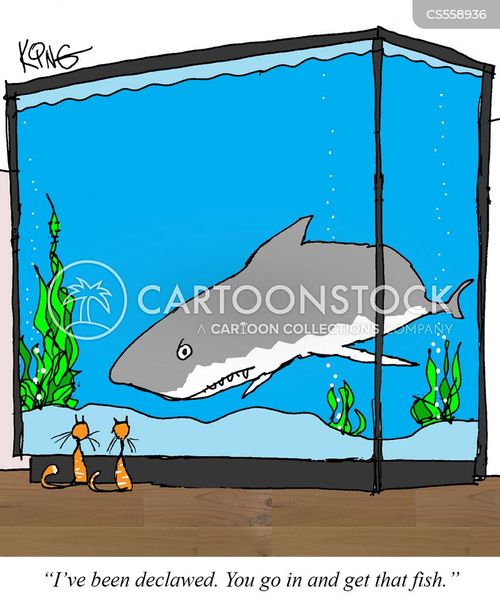 Cycle Of Life Cartoons and Comics - funny pictures from CartoonStock