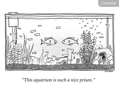 Aquarium Cartoons and Comics - funny pictures from CartoonStock