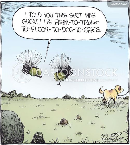 Houseflies Cartoons and Comics - funny pictures from CartoonStock