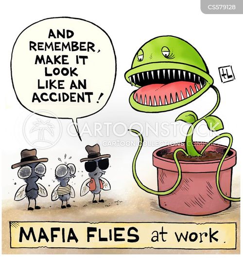 Flytrap Cartoons and Comics - funny pictures from CartoonStock