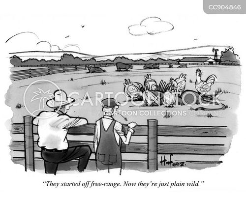 Livestock Safety Cartoons and Comics - funny pictures from CartoonStock