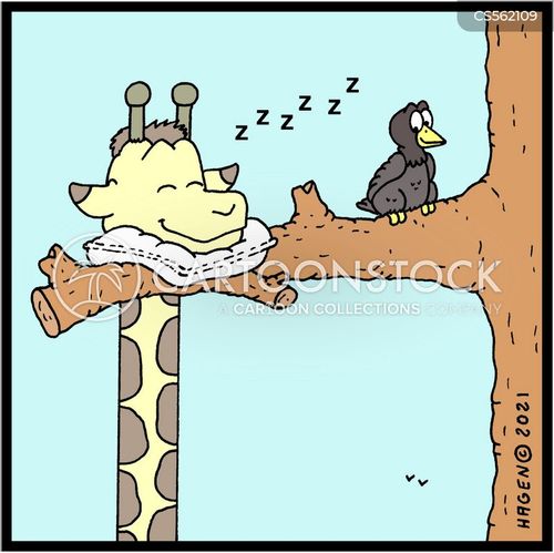 Temporary Comfort Cartoons and Comics - funny pictures from CartoonStock