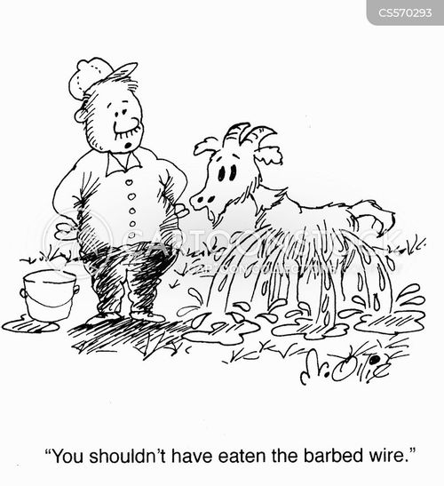 Barnyard Animals Cartoons and Comics - funny pictures from CartoonStock