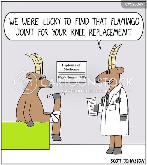Knee Replacement Therapy Jokes Knee Replacement Cartoons And Comics
