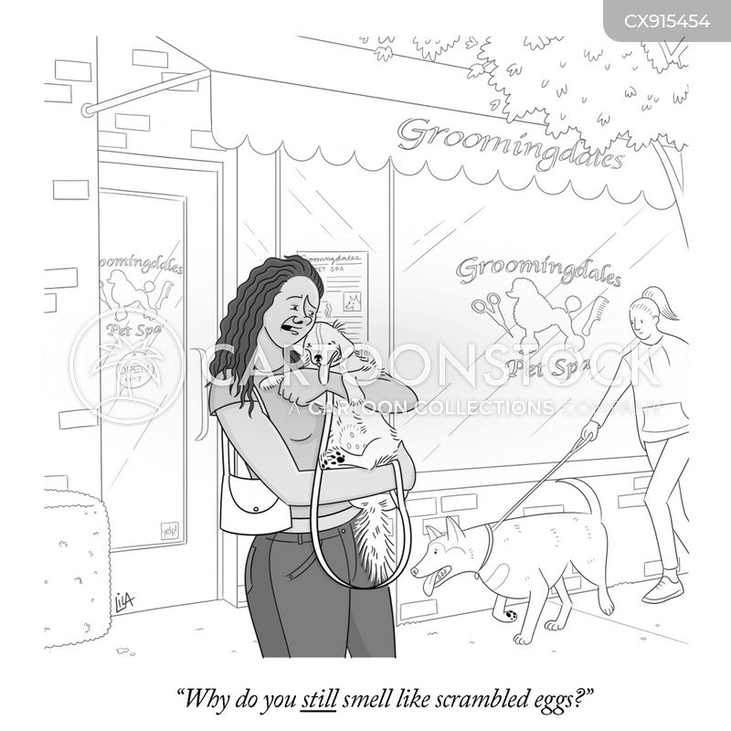 Grooming Parlors Cartoons and Comics - funny pictures from CartoonStock