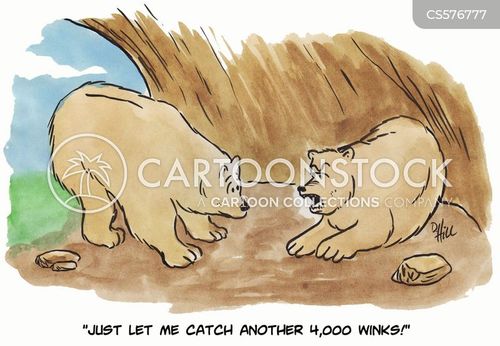 Bears Hibernating Cartoons and Comics - funny pictures from CartoonStock