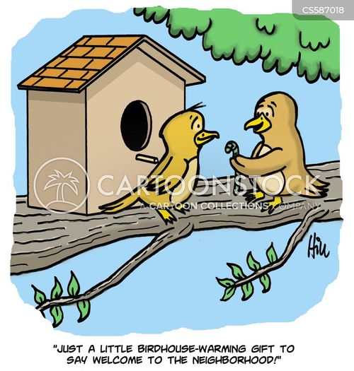 Birdhouse Design Cartoons and Comics - funny pictures from CartoonStock
