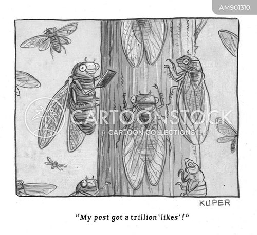 Cicada Cartoons and Comics - funny pictures from CartoonStock