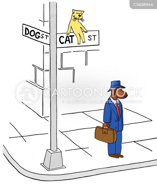 Cat Street Cartoons and Comics - funny pictures from CartoonStock