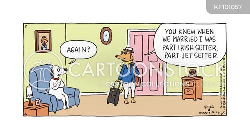 English Setter Cartoons and Comics - funny pictures from CartoonStock