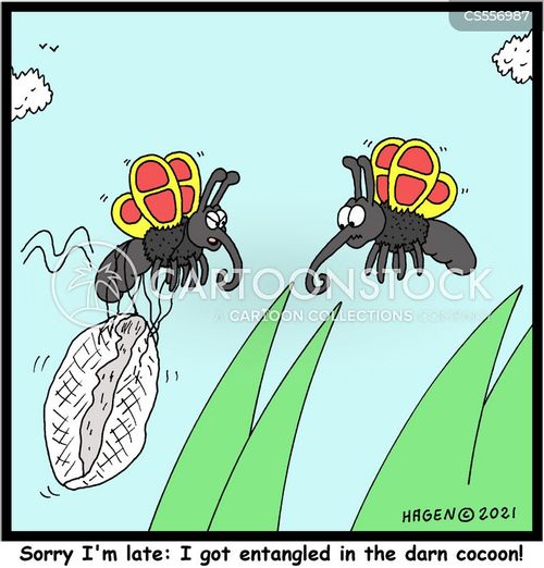 Entangled Cartoons and Comics - funny pictures from CartoonStock