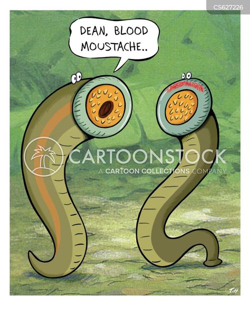 Moustache Cartoons and Comics - funny pictures from CartoonStock
