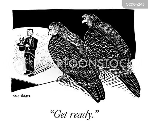 Predatory Birds Cartoons and Comics - funny pictures from CartoonStock