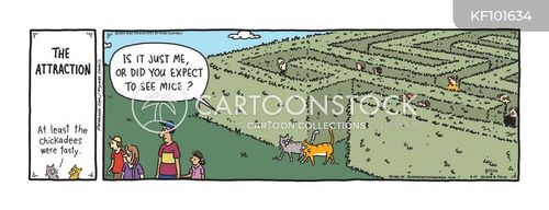 Rat Maze Cartoons and Comics - funny pictures from CartoonStock