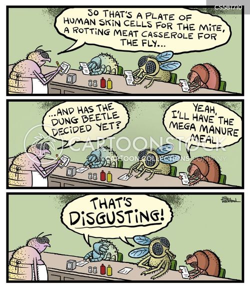 Bug Detection Cartoons and Comics - funny pictures from CartoonStock