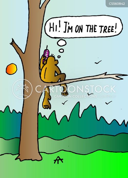 Tree Monkey Tree Cartoons and Comics - funny pictures from CartoonStock
