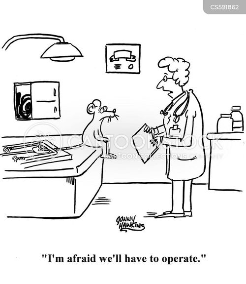 Mouse Trap Cartoons and Comics - funny pictures from CartoonStock