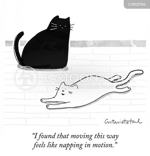 Supercat Cartoons and Comics - funny pictures from CartoonStock
