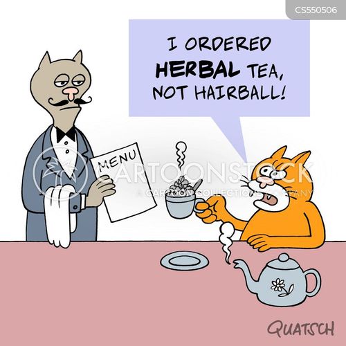 Hairballs Cartoons and Comics - funny pictures from CartoonStock