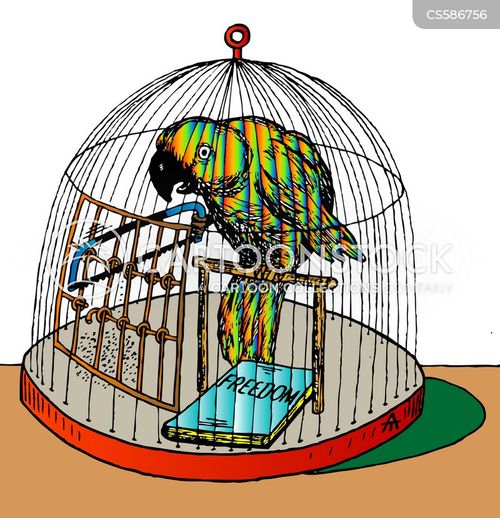 Free Bird Cartoons and Comics - funny pictures from CartoonStock