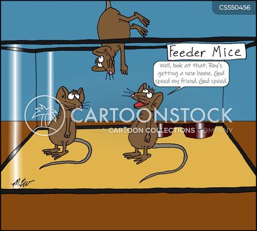 Field Mouse Memes Mouse Meme 2 By SuperMarioFan65 On DeviantArt