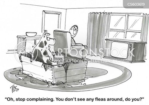 Creature Comforts Cartoons and Comics - funny pictures from CartoonStock