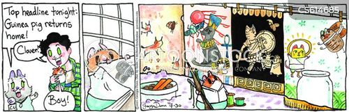 Pet Reporter Cartoons and Comics - funny pictures from CartoonStock