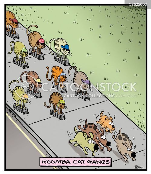 Cat Gang Cartoons and Comics - funny pictures from CartoonStock