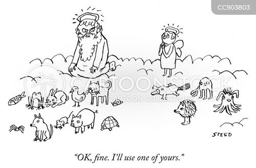 Divine Creation Cartoons and Comics - funny pictures from CartoonStock