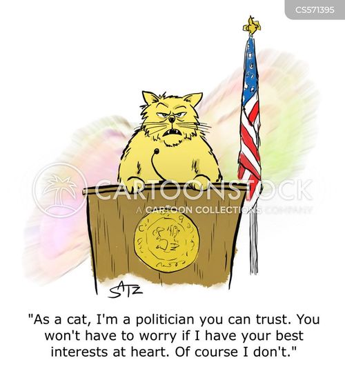 Cat Standards Cartoons and Comics - funny pictures from CartoonStock