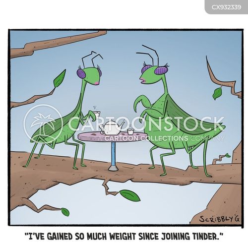 Praying Mantises Cartoons and Comics - funny pictures from CartoonStock