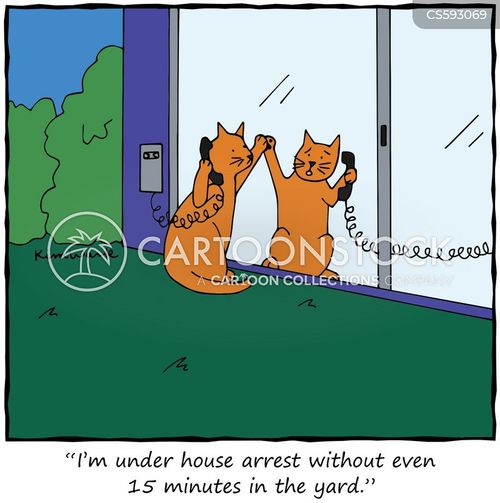 Jail Yard Cartoons and Comics - funny pictures from CartoonStock