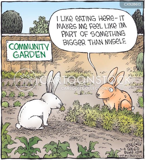 Rabbit Logic Cartoons and Comics - funny pictures from CartoonStock