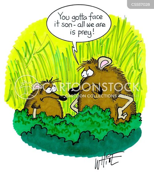 Father Rat Cartoons and Comics - funny pictures from CartoonStock